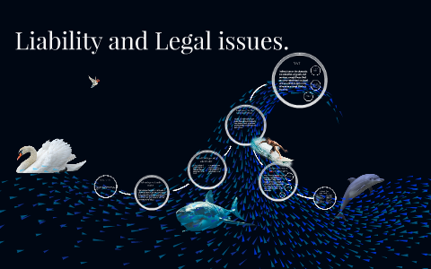 Liability and Legal issues. by Liam Swan