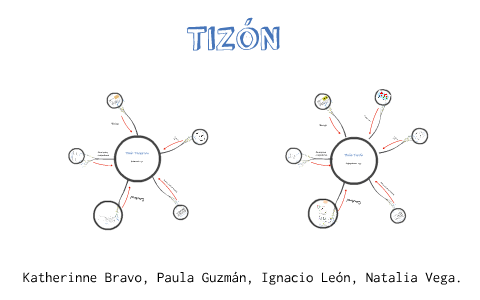 Tizón. patología. by Katty Guzman on Prezi