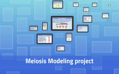 Meiosis Modeling project by Christian ..... on Prezi