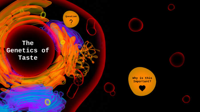 The Genetics of Taste by Silvia Ioannou on Prezi