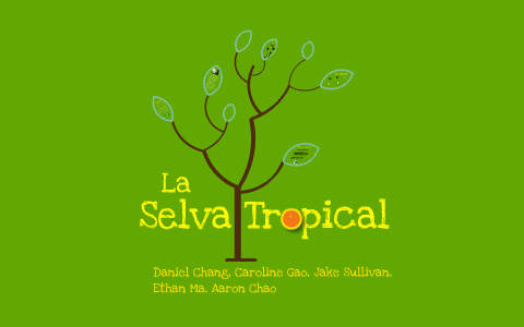 Selva Tropical by Daniel Chang on Prezi