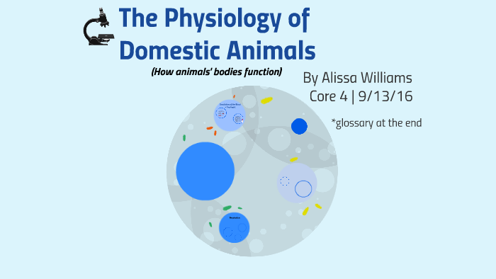 The Physiology of Domestic Animals by Alissa Williams on Prezi