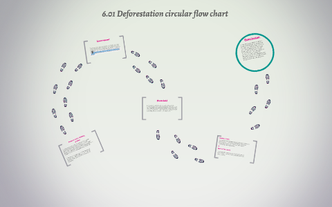 6.01 Deforestation circular flow diagram by Tatum Ashby on Prezi
