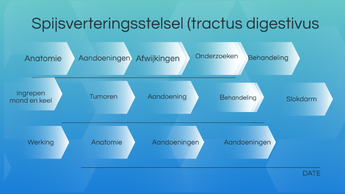Spijsvertering by Heleen Wever on Prezi