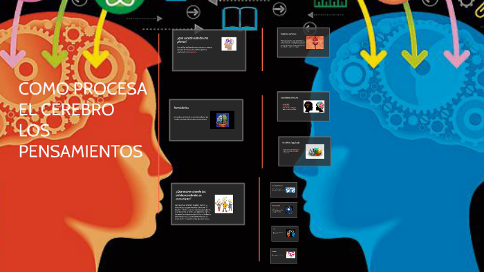 COMO PROCESA EL CEREBRO LOS PENSAMIENTOS by Edna Ceja on Prezi
