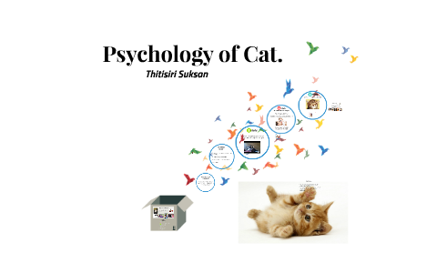 Our complicated relationship with cat. by kat koh on Prezi