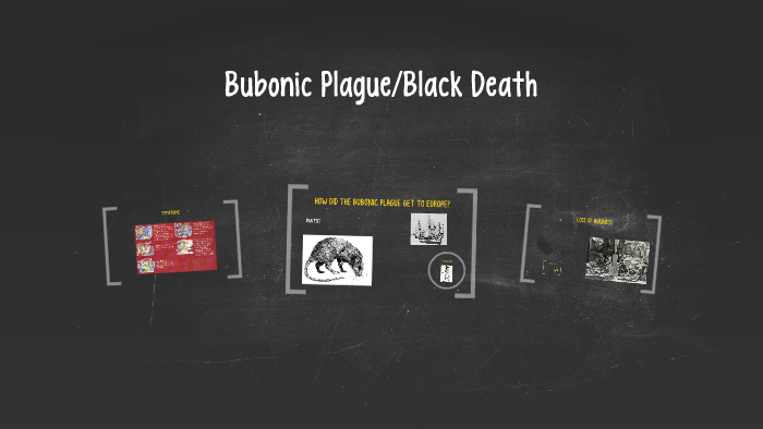 Bubonic Plague/Black Death by Hannah Tuell on Prezi