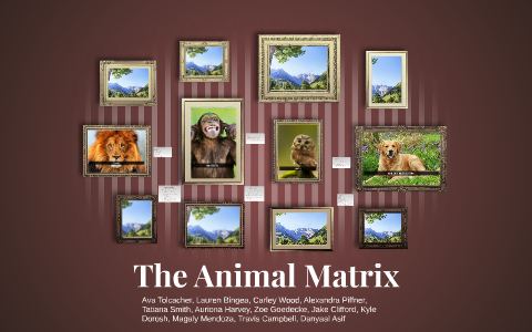 The Animal Matrix by Maggieee Mendozaaa on Prezi