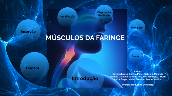 Músculo da Faringe by julia karen on Prezi