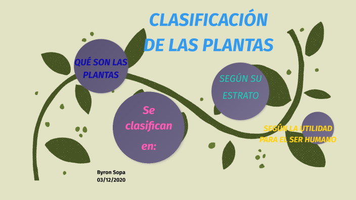 CLASIFICACION DE LAS PLANTAS by BYRON SOPA on Prezi