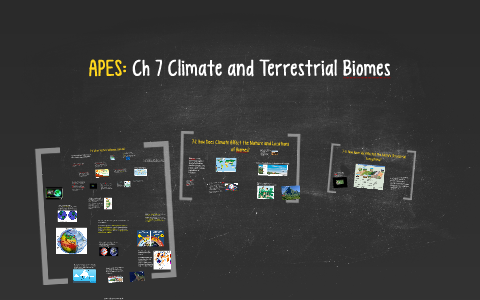 APES: Ch 7 Climate and Terrestrial Biomes by Valerie Head on Prezi