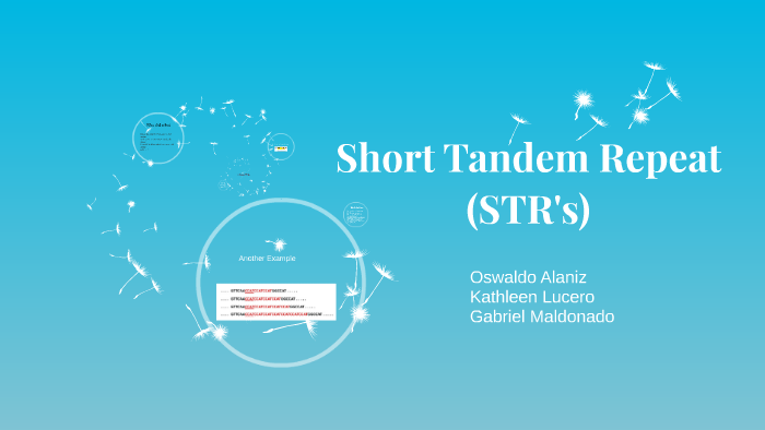 Short Tandem Repeat (STR's) by gabriel maldonado on Prezi