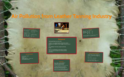 Air Pollution from Leather Tanning Industry by Randall Casburn on Prezi