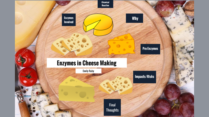 Enzymes in Cheese by emily ruby on Prezi