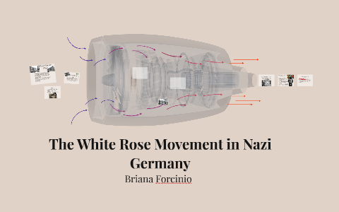 The White Rose Movement in Nazi Germany by Briana Forcinio on Prezi