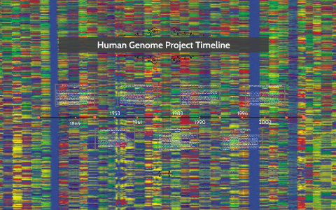 Human Genome Project Timeline by Ella Zamarka