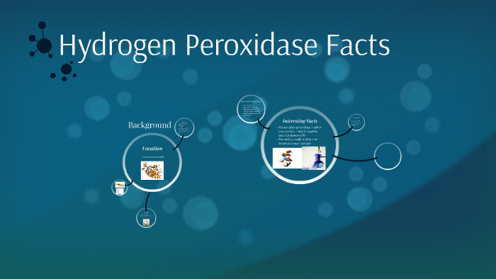 Hydrogen Peroxidase Facts by Grace Yi on Prezi