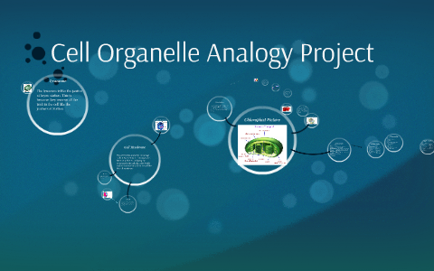 Cell Organelle Analogy Project by Maggie Wilson on Prezi