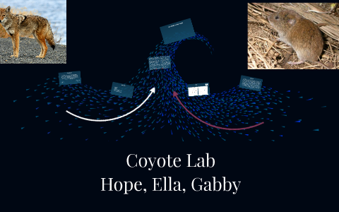 Coyote Lab by Gabby Cooper on Prezi