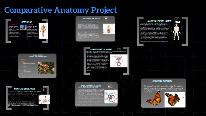 Comparative Anatomy Project by Monica Salvador on Prezi