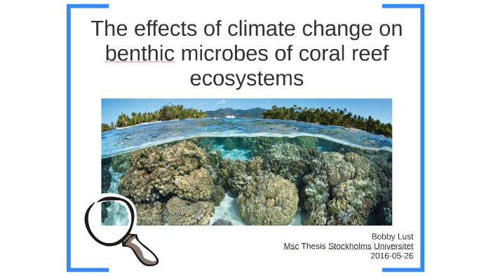 Increased temperature and pCO2 on benthic microbes of coral by Bobby Lust