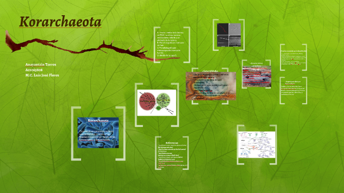 Korarchaeota by Ana Morales on Prezi