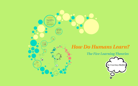 How Do Humans Learn? by Courtney Hatfield on Prezi