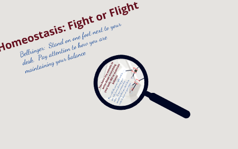 Homeostasis fight or flight by Marissa Palomino on Prezi