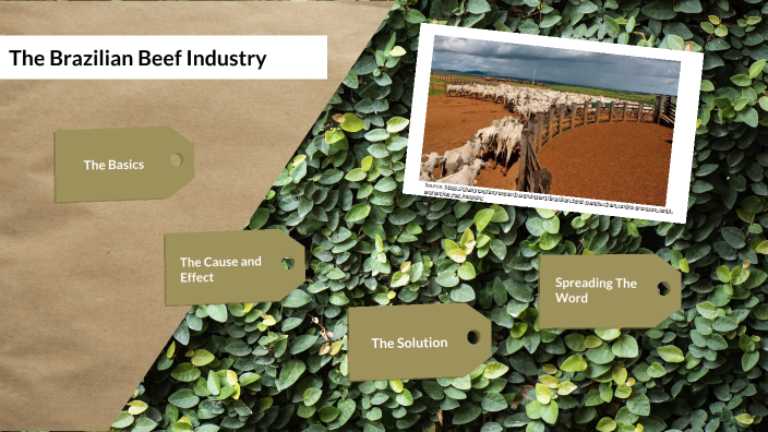 The Brazilian Beef Industry and Climate Change by Wil Foster on Prezi