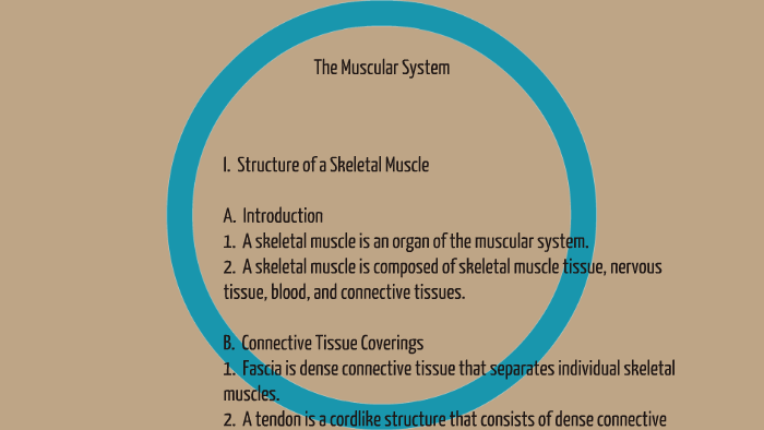 The Muscular System by JD Huitt on Prezi