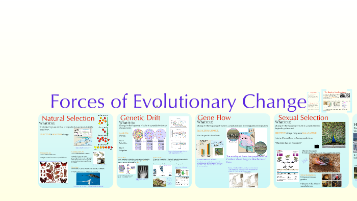 Microevolution - Evolutionary Forces by Eric Friberg on Prezi