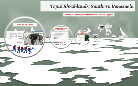 Tepui Shrublands, Southern Venezuela by Anajulia Almonte on Prezi