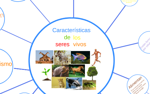 Características de los seres vivos by Nicole Barcan on Prezi