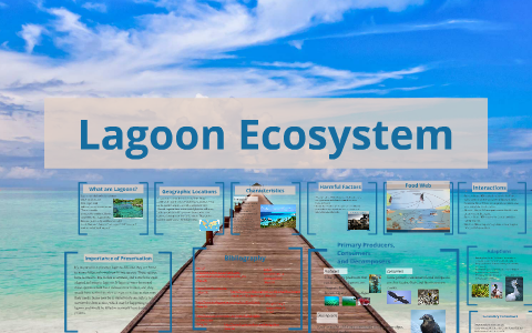 Lagoon Ecosystem by naveen devanand on Prezi