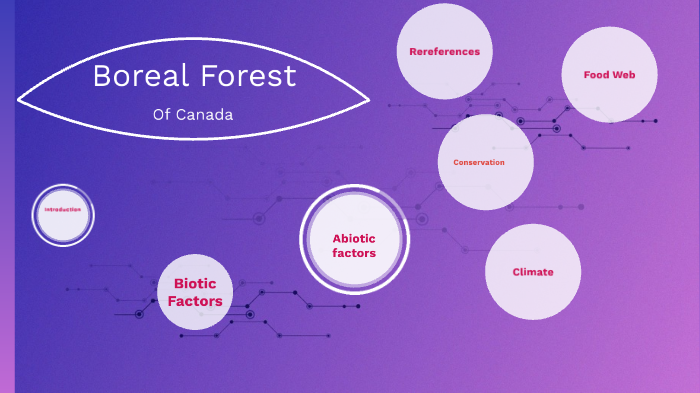 The Boreal Forest of Canada by Amirhossein Semnani on Prezi