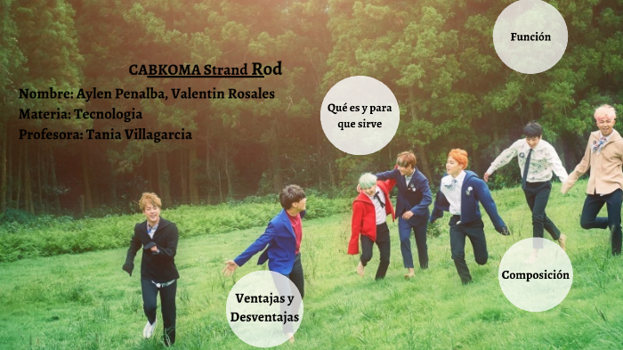 CABKOMA Strand Rod by Aylu Penalba on Prezi