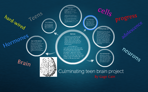Culminating teen brain project by Gage Cain on Prezi