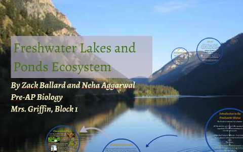 Freshwater Lakes and Ponds Ecosystem by Neha Aggarwal on Prezi