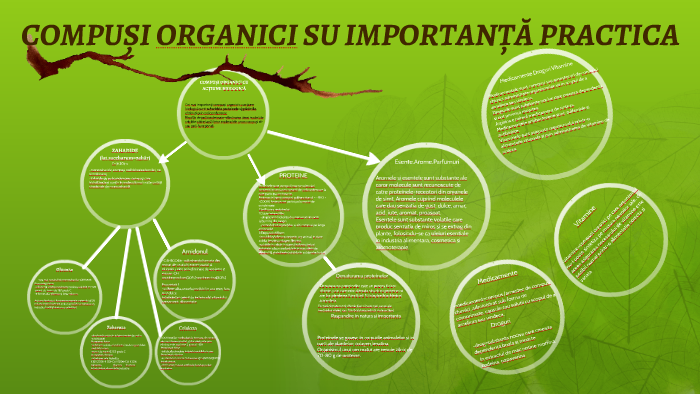 COMPUȘI ORGANICI SU IMPORTANȚĂ PRACTICA by Thira Iulia on Prezi