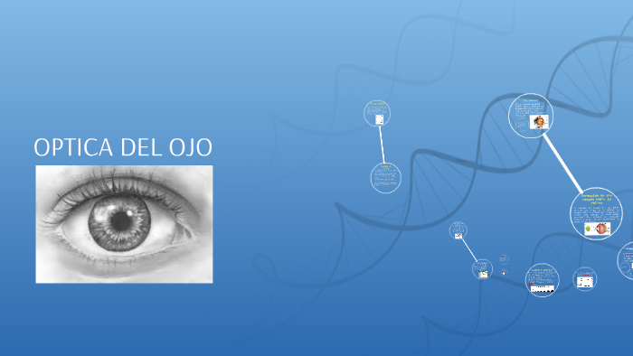 OPTICA DEL OJO by Eliel Samuel Trinidad Fernandez on Prezi