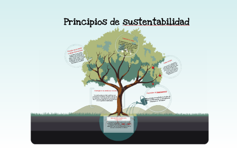 Principios de sustentabilidad by Estefania Contreras on Prezi