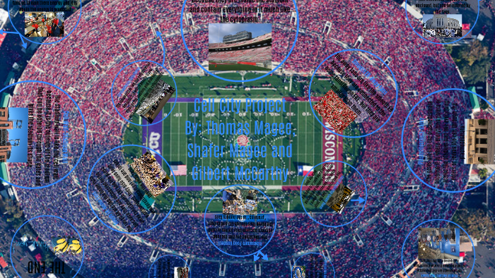 Cell City project by Gilbert McCarthy on Prezi