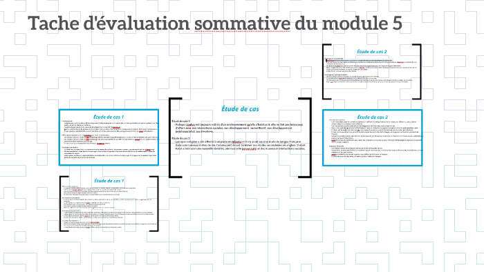 Tache d'évaluation sommative du module 5 by Aisha Olad on Prezi