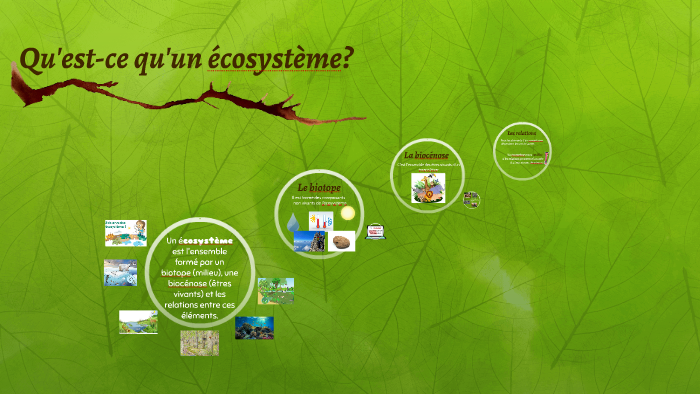 Qu'est-ce qu'un ecosystème? by Andrea Manzano on Prezi