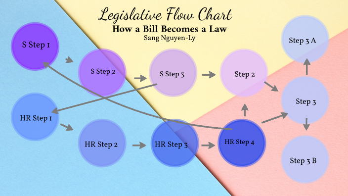 Legislative Flow Chart by Sang Nguyen-Ly on Prezi
