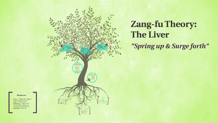 Zang-fu Theory: by Jennifer Todaro on Prezi
