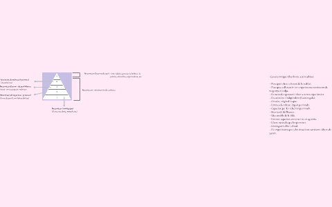 Jerarquia de les necessitats humanes segons Abraham Maslow by Helena ...
