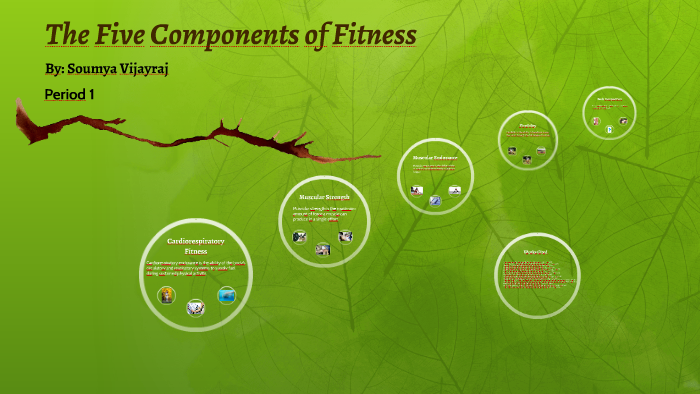The Five Components of Fitness by Soumya Vijayraj on Prezi