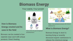 Biomass Energy Poster/Infographic by Denton Ryan on Prezi Design