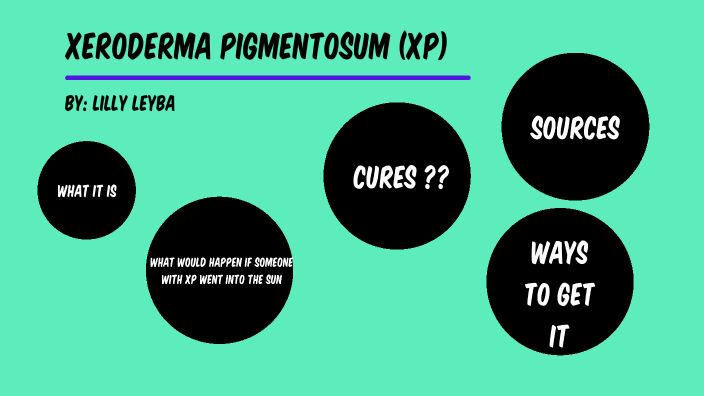XP by Lilly Leyba on Prezi